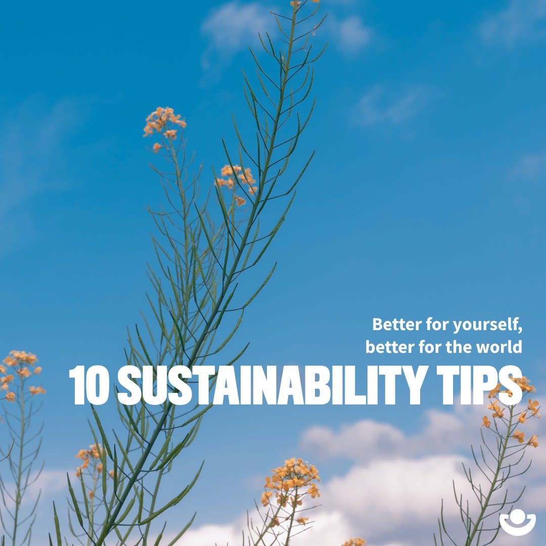 10 TIPS FOR A MORE SUSTAINABLE LIFESTYLE - COREKEES
